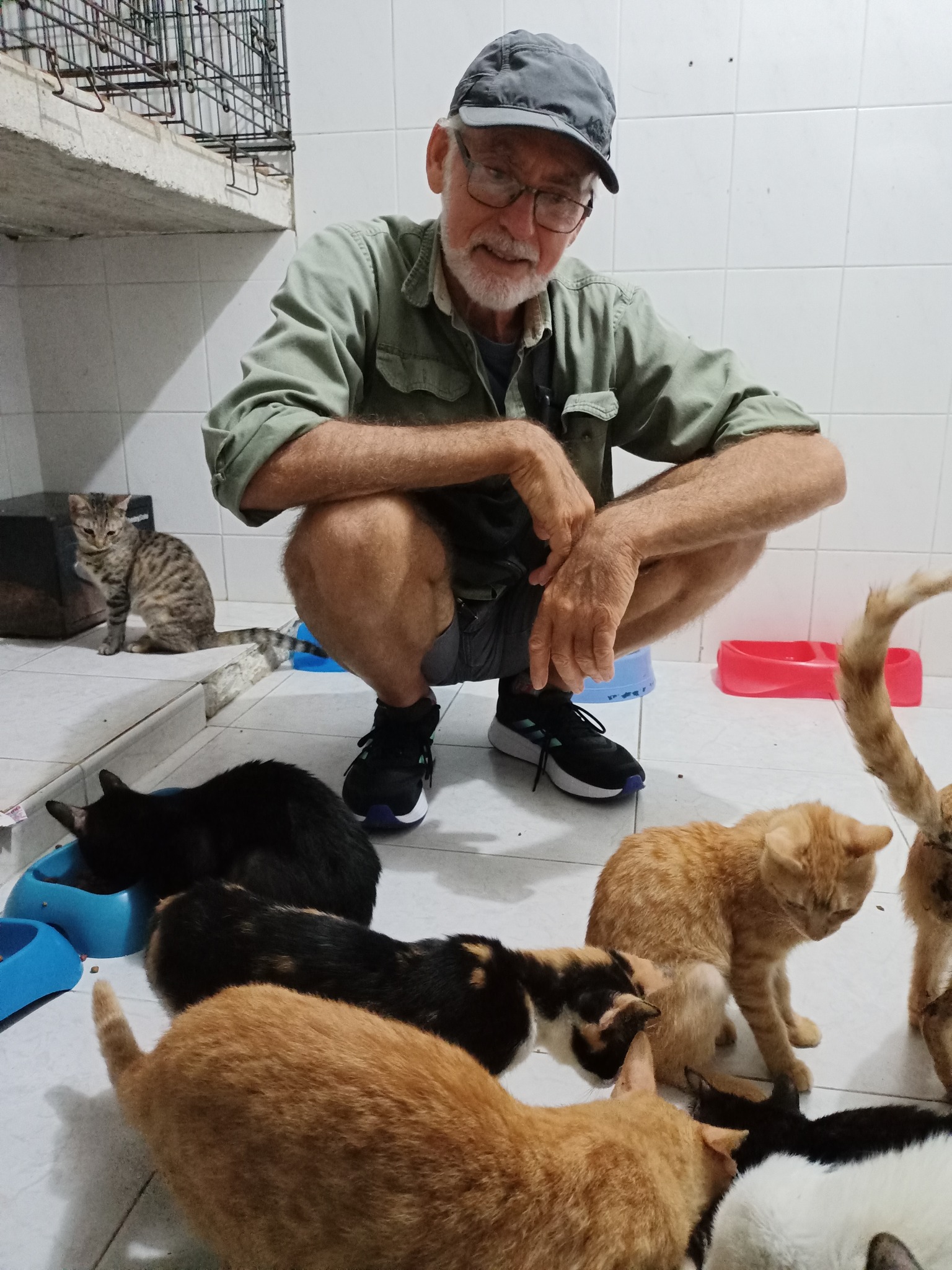 Carolyn and Robert Love Cats - Reflections